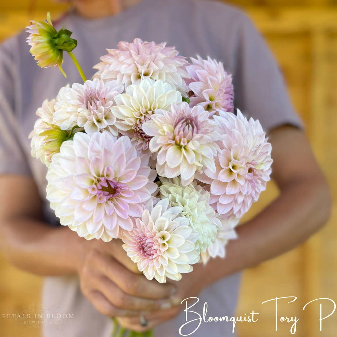 Products – Page 2 – Petals In Bloom Flower Farm