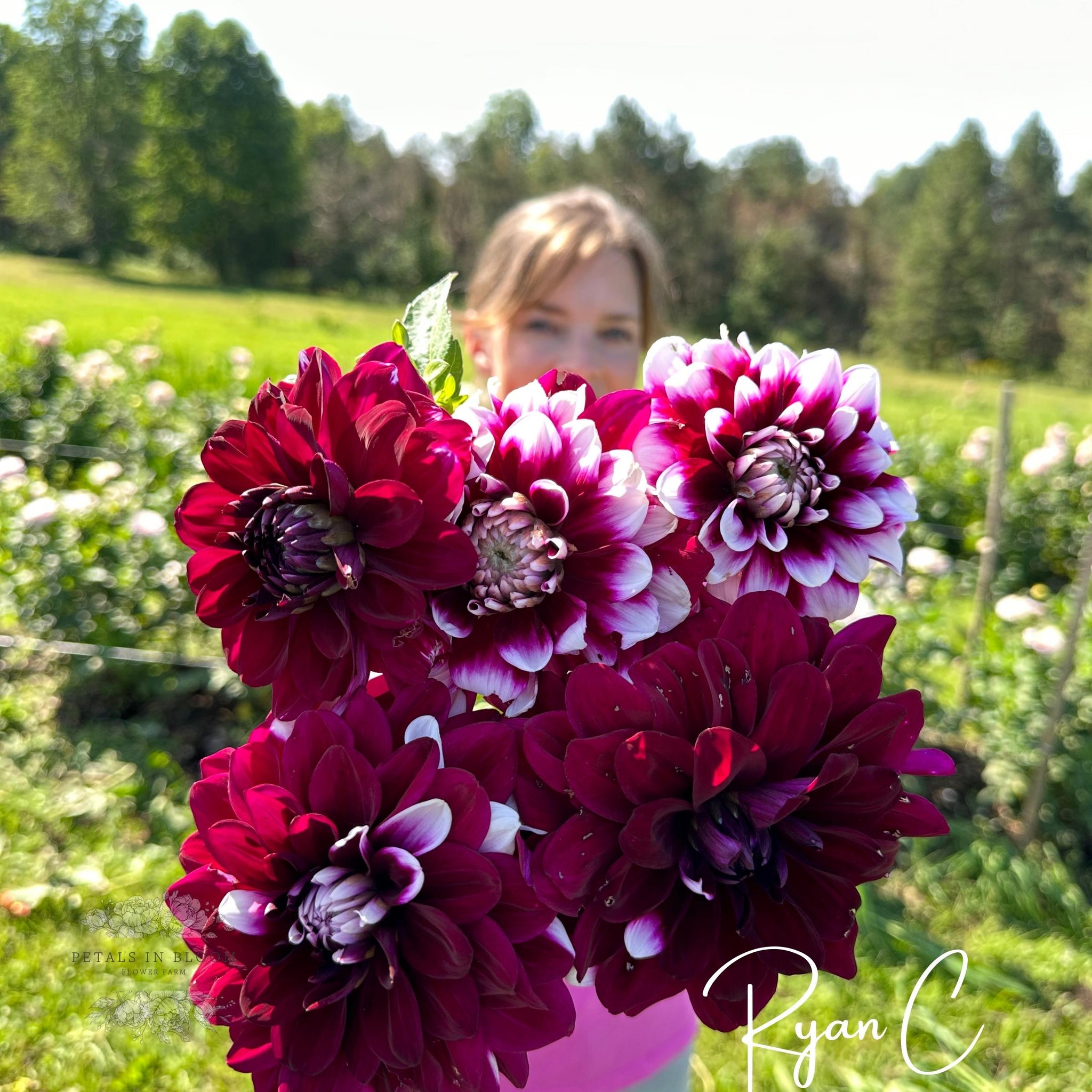 Products – Page 7 – Petals In Bloom Flower Farm