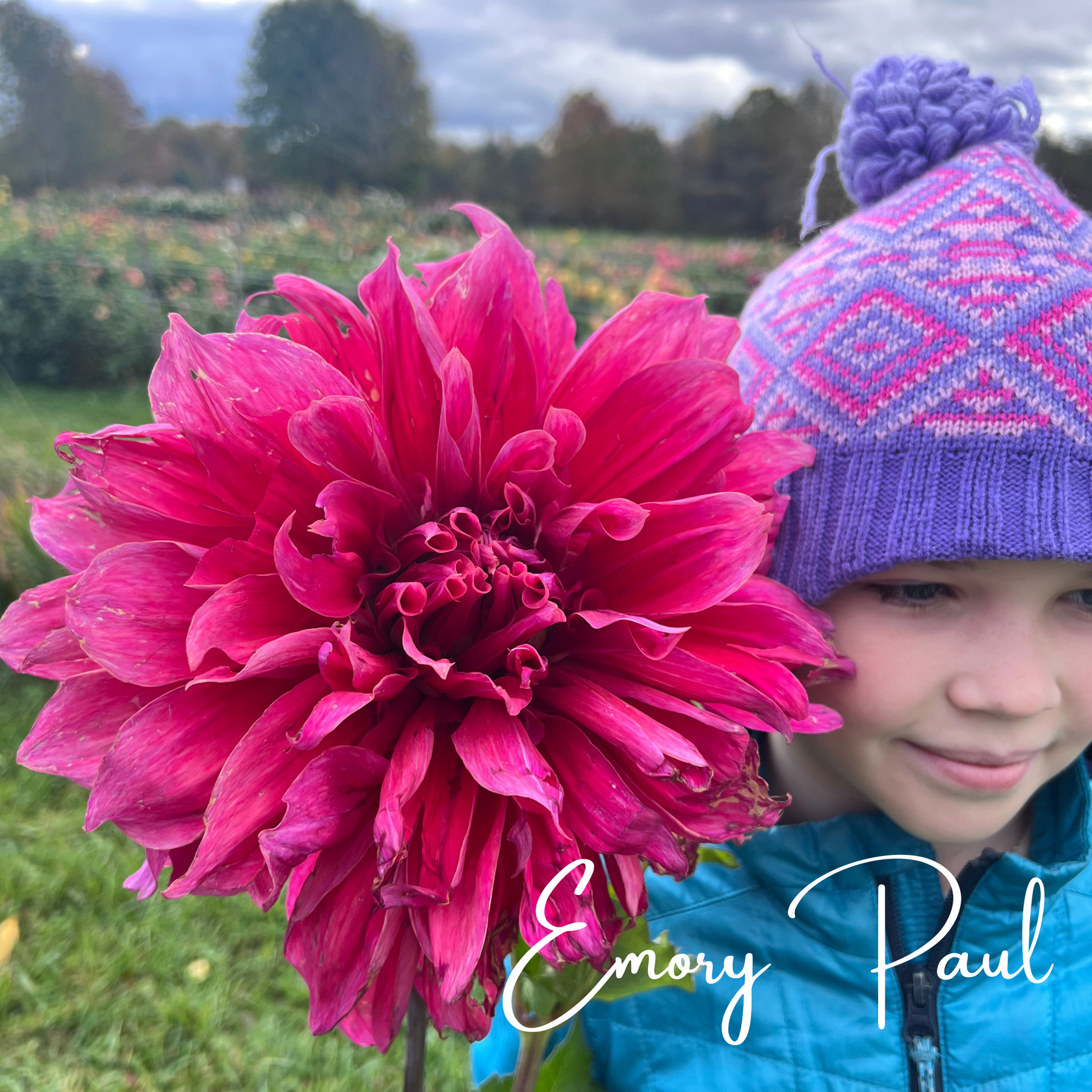Emory Paul Dahlia Tubers – Petals In Bloom Flower Farm